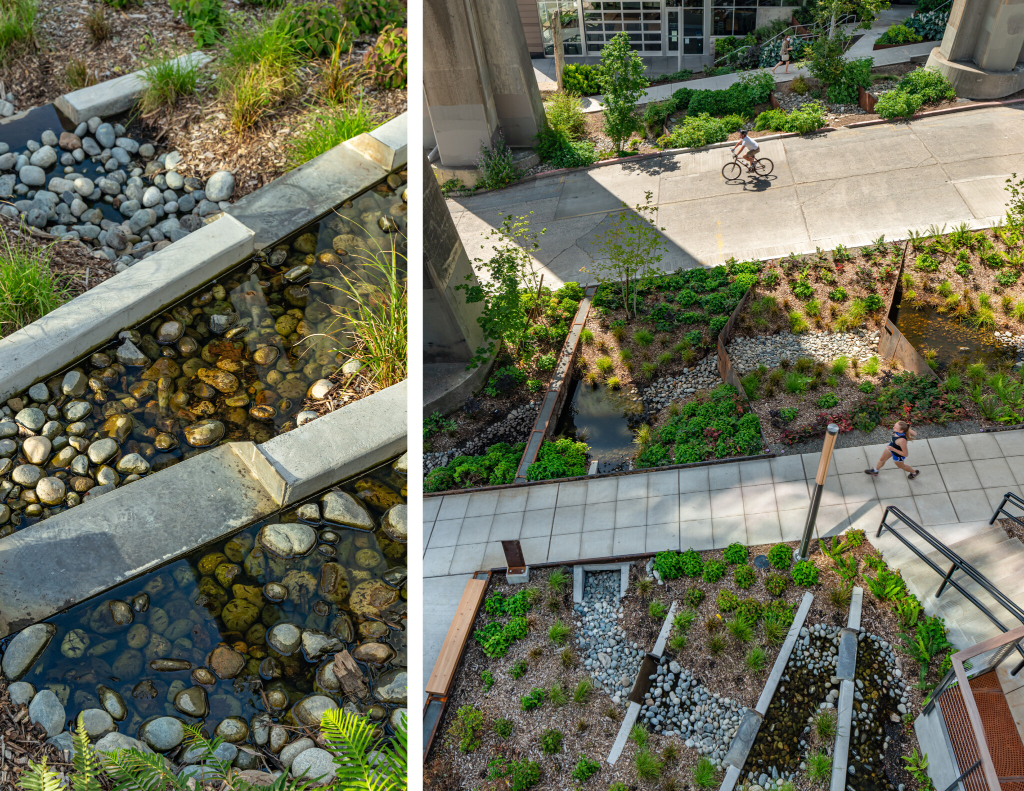 Aurora Bioswales - ULI Developing Urban Resilience